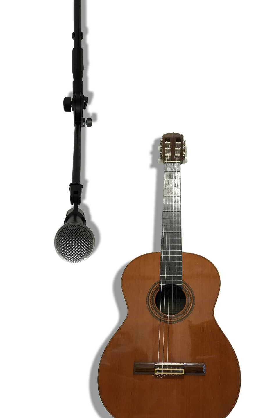 Roots Dawn Official Site